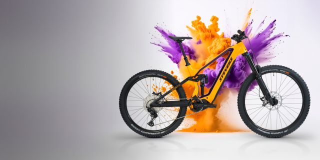 Home - Stevens Bikes 2025